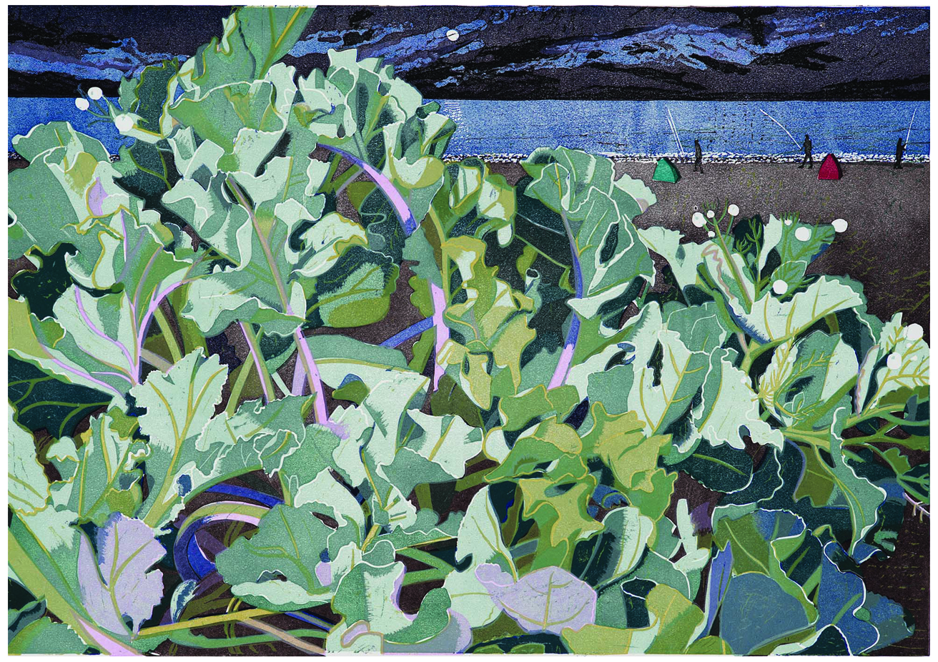 Sea Kale at Pakefield